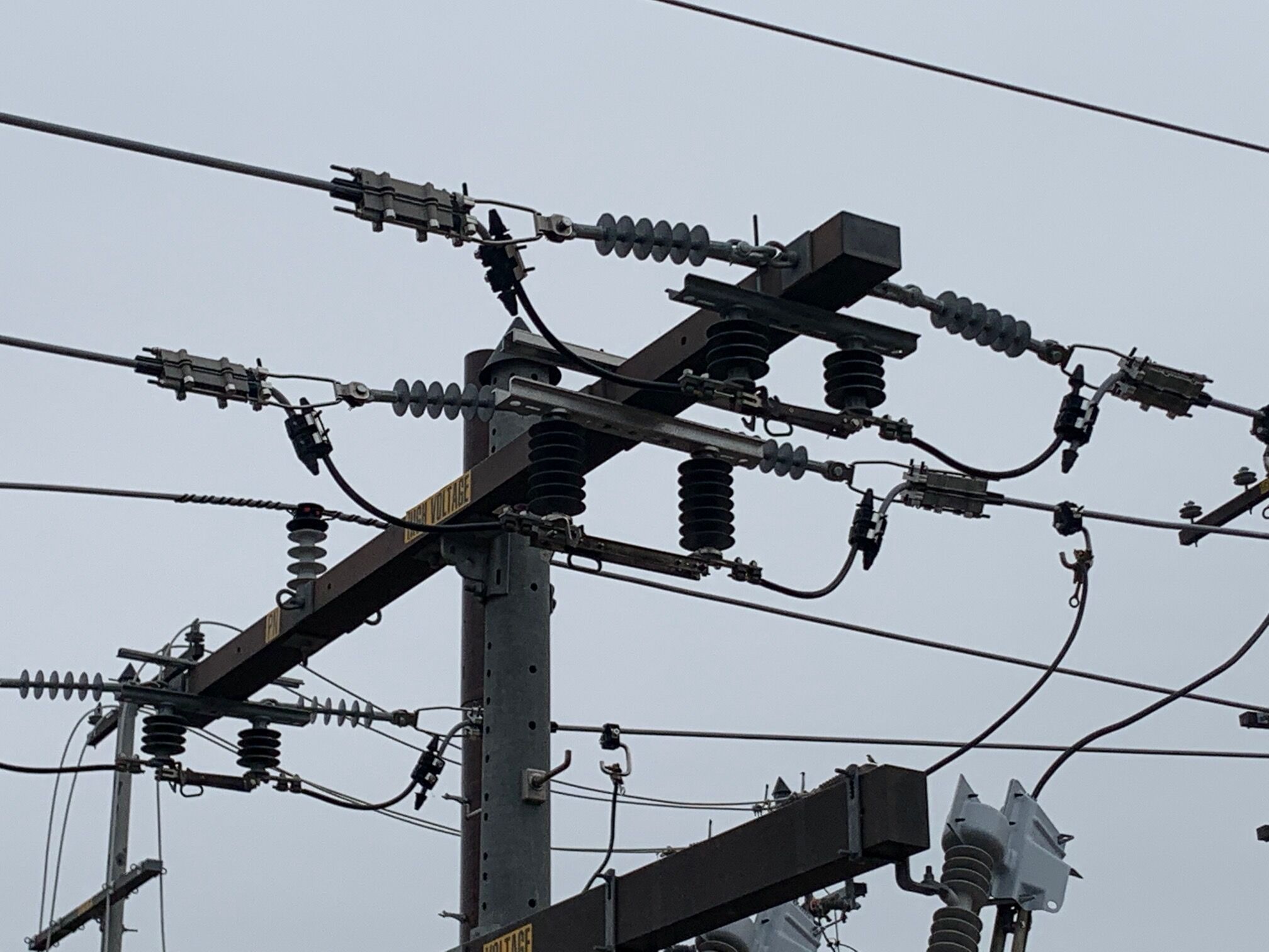 Covered Overhead Conductor Distribution Systems - Preferred Sales